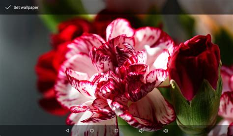 Updates Disable Wallpaper Autoresize And Scroll Android Enthusiasts