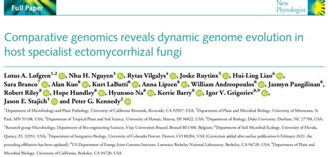 真菌基因组研究高分策略（二）：比较基因组揭示寄主外生菌根真菌基因组的动态进化 知乎