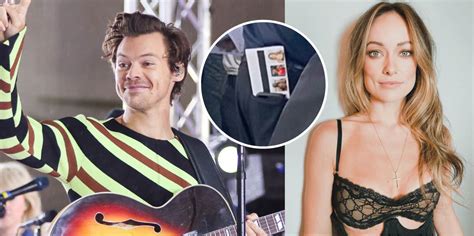 Harry Styles Fans Spot Olivia Wilde On An Alleged Banned List Issued To His Concert Security