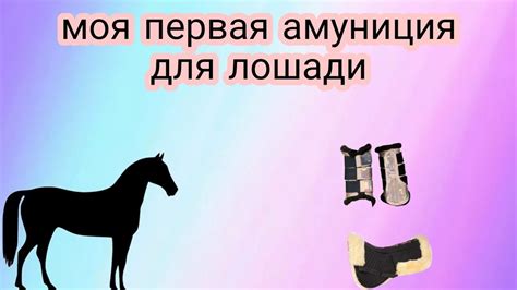 Моя первая амуниция для лошади - YouTube