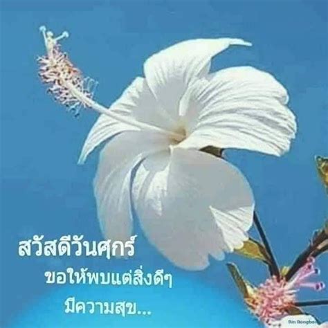 ปักพินโดย พเยาว์ วงศ์กล่อม ใน การ์ตูน ในปี 2024 สุขสันต์วันอาทิตย์ สวัสดีตอนเช้า วันศุกร์