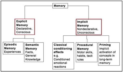 Lec 5 Cog Processes Non Declarativeimplicit Memory And False Memory