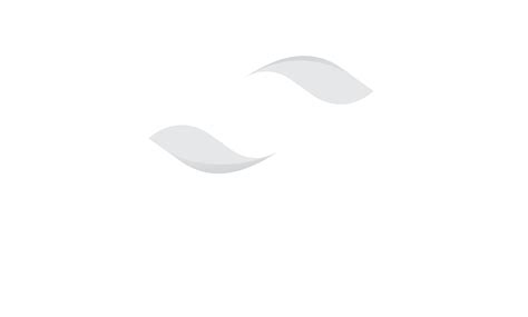 What Is Foreign Ownership Control Or Influence Foci And How Does It