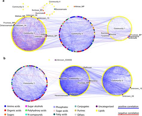 Difference Set Correlation Based Networks Of Ain1 And Osl1 Network