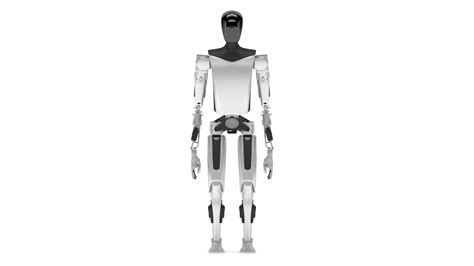 Tesla Robot X Superhive Formerly Blender Market