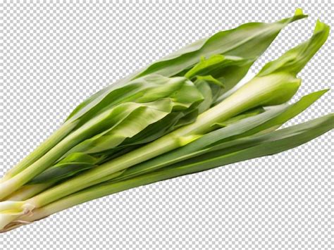 Premium Psd Psd Leek Png On A Transparent Background