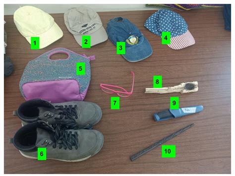 Lost Found Primitive Pursuits Ithaca