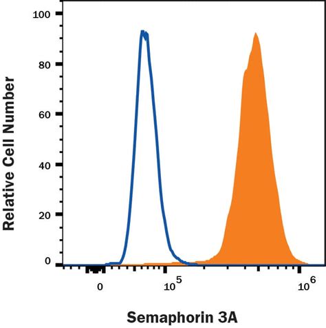 Human Semaphorin 3a Antibody Mab1250 Randd Systems