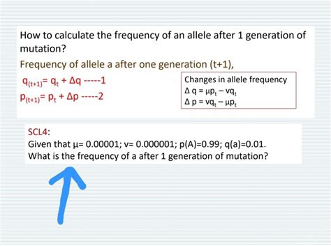 Solved How To Calculate The Frequency Of An Allele After 1