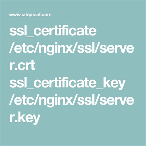 Ssl Certificate Etc Nginx Ssl Server Crt Ssl Certificate Key Etc