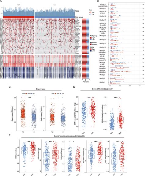 Characterization Of Genome Alterations In Lpri Subgroups A Oncoprint