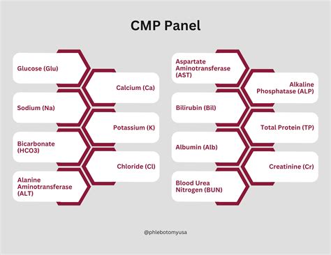 What Your Cmp Results Are Telling You Phlebotomy Usa What Your Cmp Results Are Telling You Phlebotomy Usa