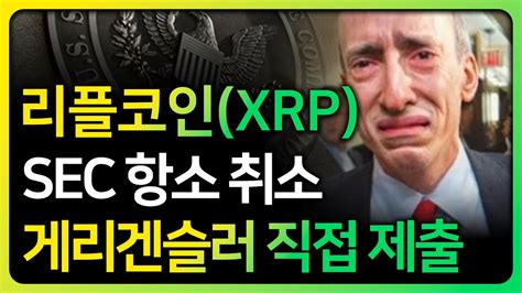 Sec 항소 취소 선언 리플 떡상길만 남았다 리플 리플코인 리플코인전망 리플전망 Xrp 리플etf 리플실시간
