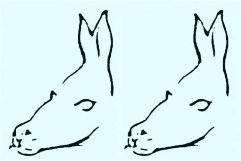 Тест на особистість те що ви бачите першим показує якими ви є і ваші вроджені якості Infobae