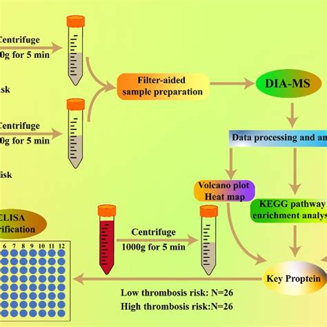 Workflow Of Dia Ms Analysis On Plasma Samples From Orthopedic Surgery Download Scientific
