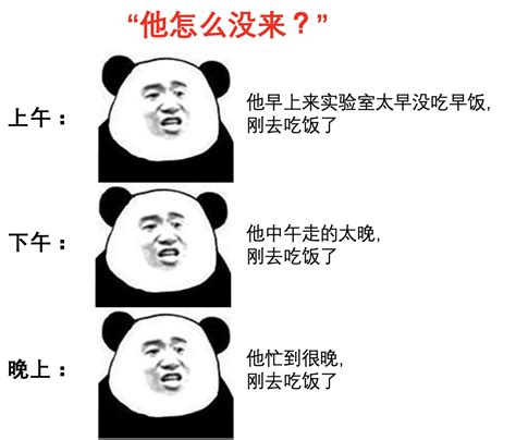 人不在实验室，导师查岗时如何逃过一劫？导师实验室豚鼠