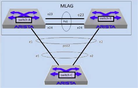 Multi Chassis Link Aggregation 7 Download Scientific Diagram