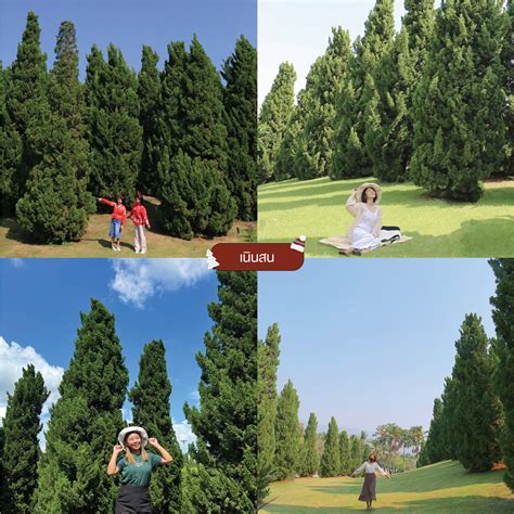 พิกัดถ่ายรูปเทศกาลคริสต์มาส