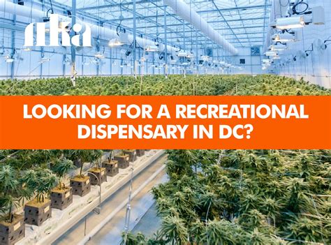 Looking For A Recreational Dispensary In Dc How To Get Free Weed Ts