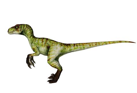 Velociraptor Male Of Jurassic Park Novel By Groxyraptus Rex On Deviantart