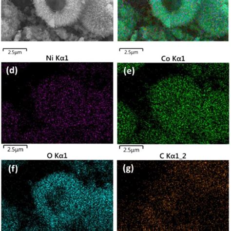 A Eds Spectrum B Fe Sem Image C Eds Layer Image And The Eds Download Scientific Diagram