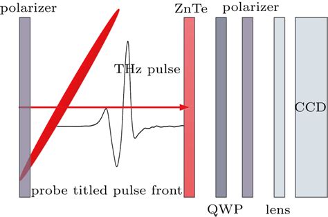 Single Shot Measurement Of Thz Pulses