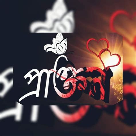 Mohammad Sajib Ahamed