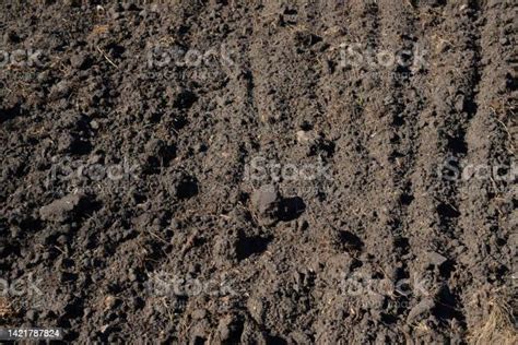 토양 질감 배경입니다 식물 심기에 적합한 비옥 한 토양 쟁기질 된 들판 마른 땅 클로즈업 0명에 대한 스톡 사진 및 기타 이미지 Istock