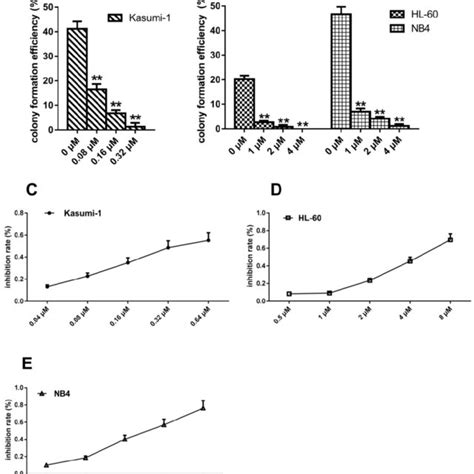 N822k T A Mutation Leads To Activation Of C Kit A Sequence Map Of Download Scientific