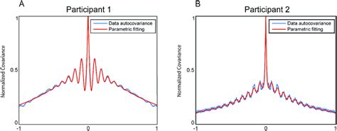 Estimation Of The Model Covariance Functions Parametric Fit Of The Meg