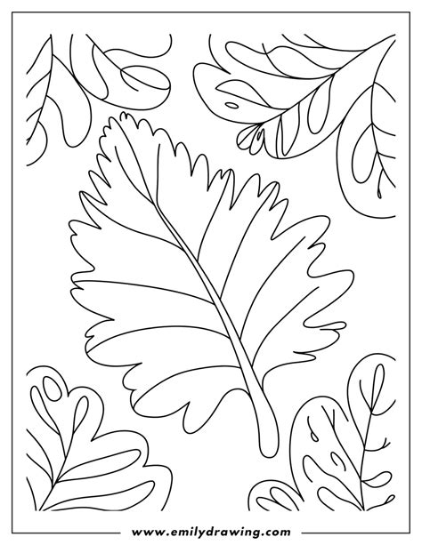 Leaf Coloring Pages Emily Drawing