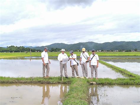 မိုင်းပန်မြို့နယ်၌ ၂၀၂၄ ၂၀၂၅ ခုနှစ် မိုးသီးနှံစိုက်ပျိုးထားရှိမှုအခြေအနေအား ကွင်းဆင်းစစ်ဆေး