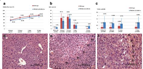 Early And Late Effects Of Partial Hepatectomy Ph In Trim24 L2 L2 Download Scientific Diagram