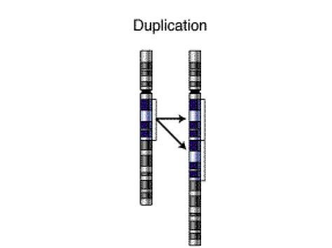 Mutation And Plasmid For Medical Laboratory Ppt