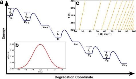 A Generic Hierarchical Model Of Organic Matter Degradation And Preservation In Aquatic Systems