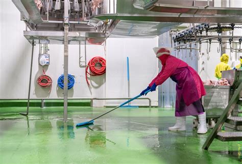 Preventive Food Processing Plant Cleaning Fayette Industrial