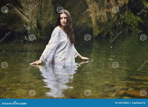 Forest Stream And Broken Tree Stock Image CartoonDealer Com