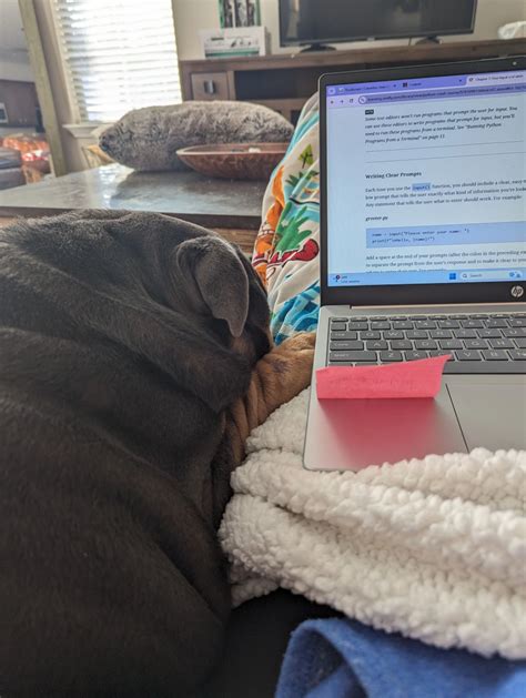 Christine Converse Beurmann On Linkedin Pythonlearning