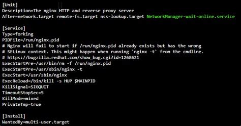 fix nginx service dns resolving startup issue i am a geek and i know it