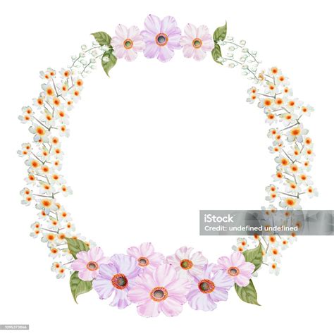 장미 코스모스 Leafs 결혼식 수채화 화 환 꽃다발 프레임 꽃 꽃 배열 장식 손 그린에 고립 된 흰색 배경 그림 그리기에 대한 스톡 벡터 아트 및 기타 이미지 Istock