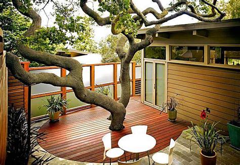 Patiozen Deck Around Tree Ten Great Deck Spaces Outsidemodern