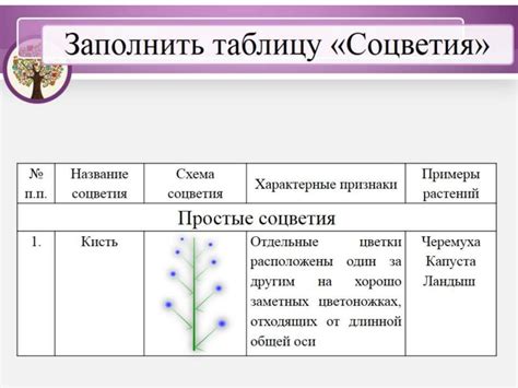 Многообразие соцветий Простые и сложные соцветия презентация онлайн
