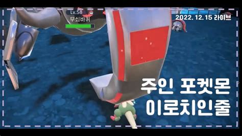 주인포켓몬 무쇠바퀴 이로치 Feat 버그 Youtube