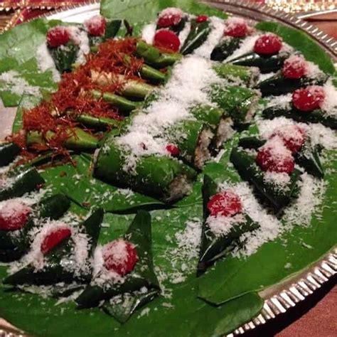 Complete Guide To Growing Betel Leaf Plants And The Benefits Gardenoid