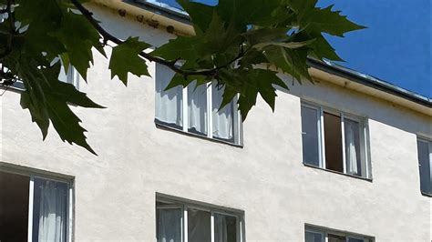 გიორგიწმინდის საჯარო სკოლა წარმოგიდგენთ იაკობ გოგებაშვილის დღესთან დაკავშირებით მიძღვნილ