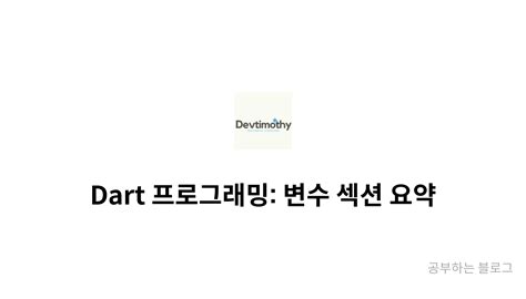 Dart 프로그래밍 변수 섹션 요약 Mysetting