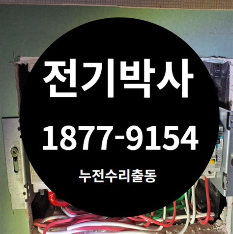 가정집 누전차단기 내려감 냉장고전기 세탁기콘센트 안될때 네이버 블로그