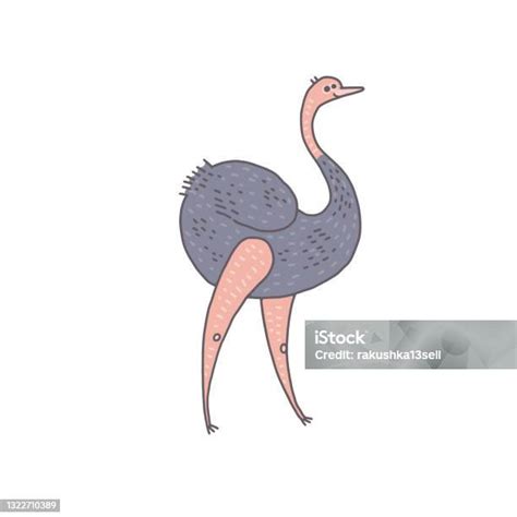 Burung Unta Yang Lucu Ilustrasi Karakter Garis Besar Warnawarni Kartun