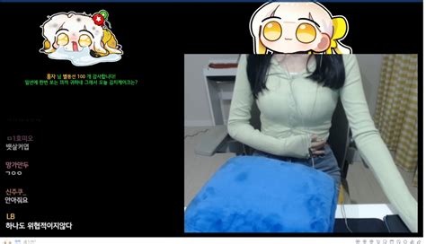 끠끼 반캠한다길래 갔다왔음 치지직 에펨코리아