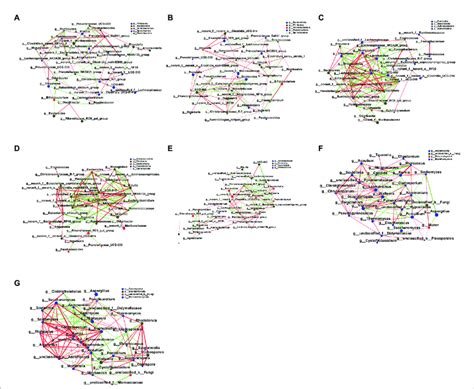 Interaction Network Diagram Of Fecal Microbiota In Each Group A The